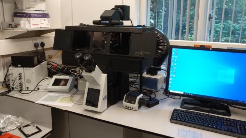 Imaging : Wolfson Centre for Biological Imaging : Sussex Centre for ...