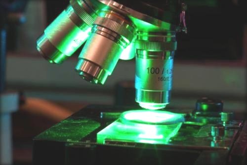 Wolfson Centre for Biological Imaging : Sussex Centre for Genome Damage ...