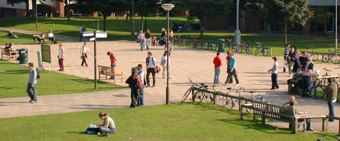 Student Life Centre : Students : University of Sussex