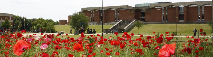 Opening hours : Using the Library : Library : University of Sussex