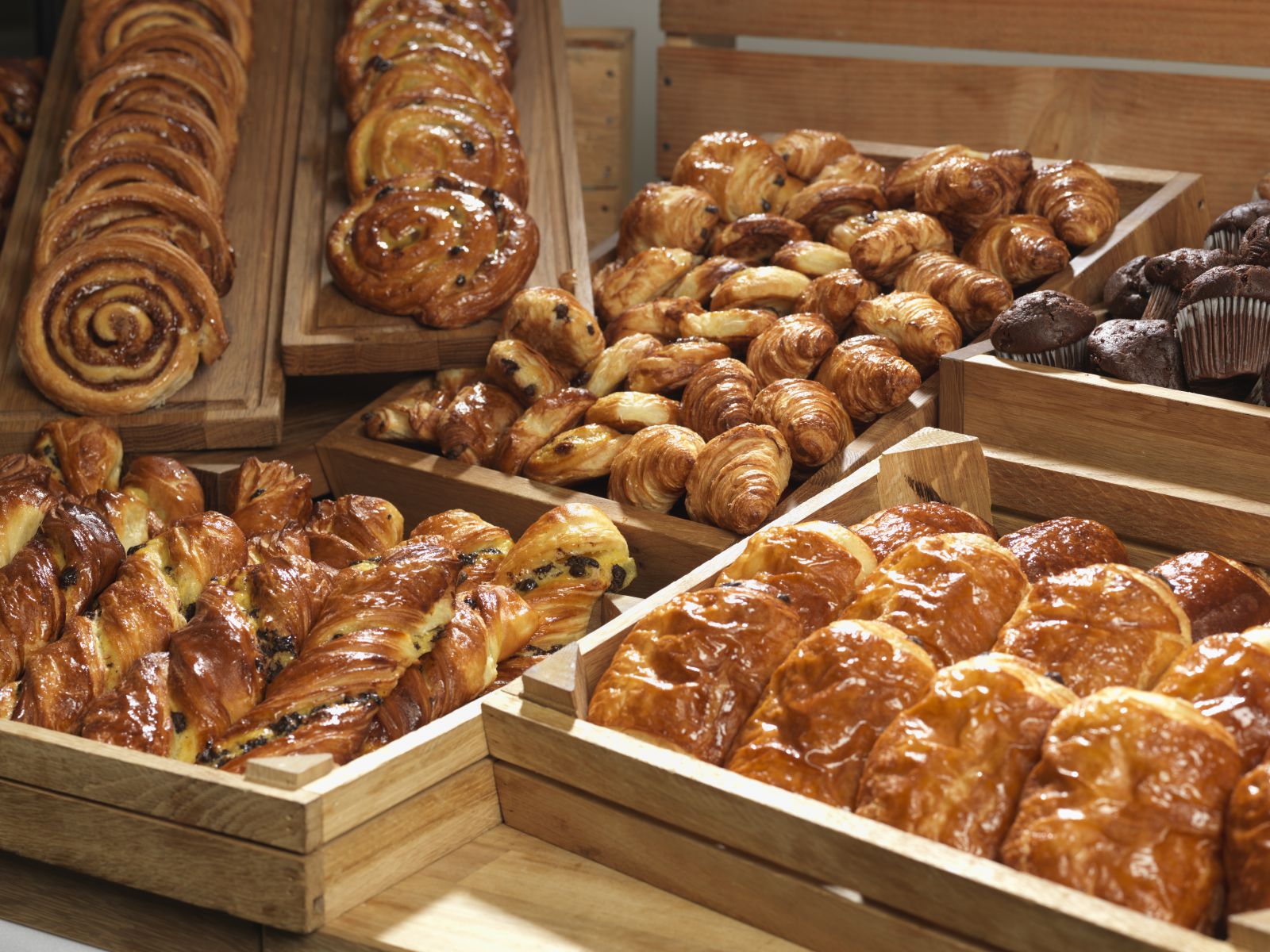 Space with us : University of Sussex