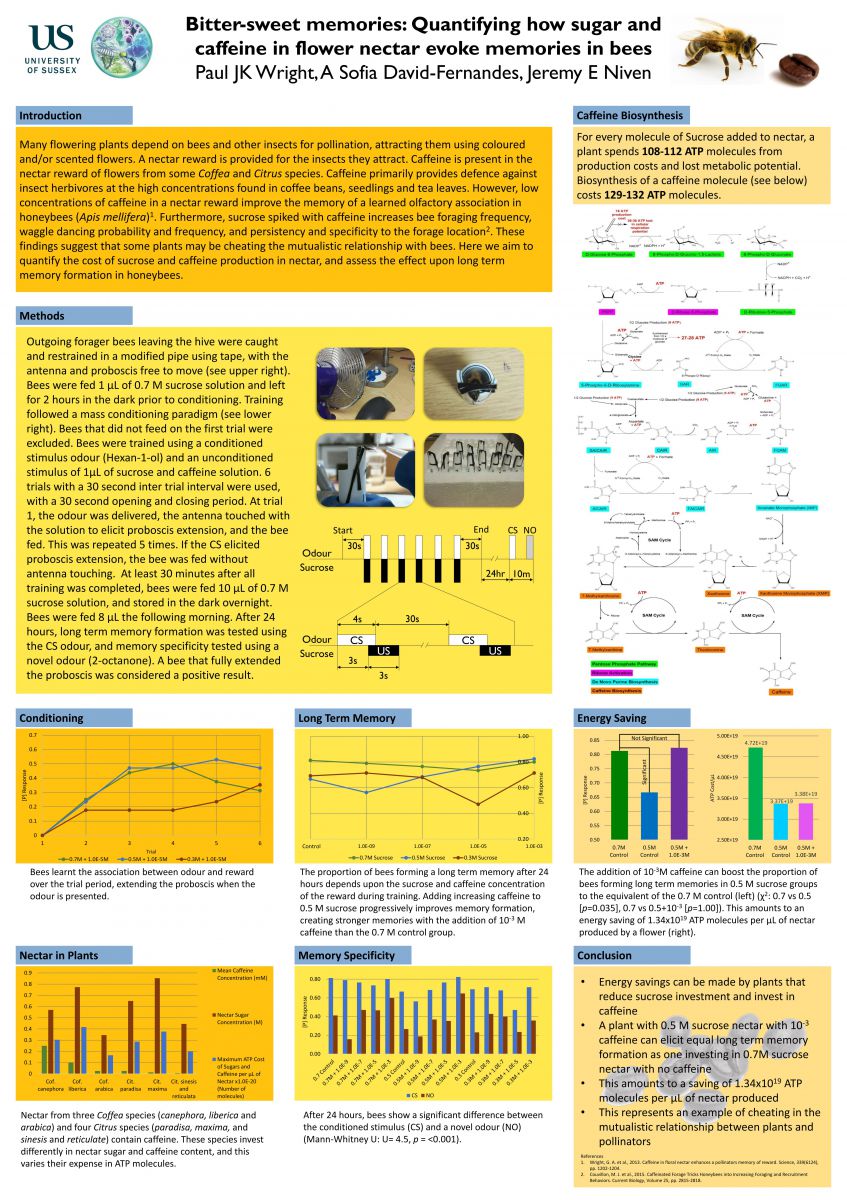 JRA Academic Posters : For current JRAs : Sussex Undergraduate Research ...